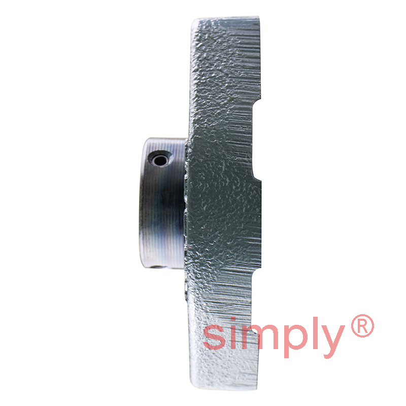 NTN M-ASFD205 Metric Two Bolt Oval Cast Iron Flange Housing with 25mm ...