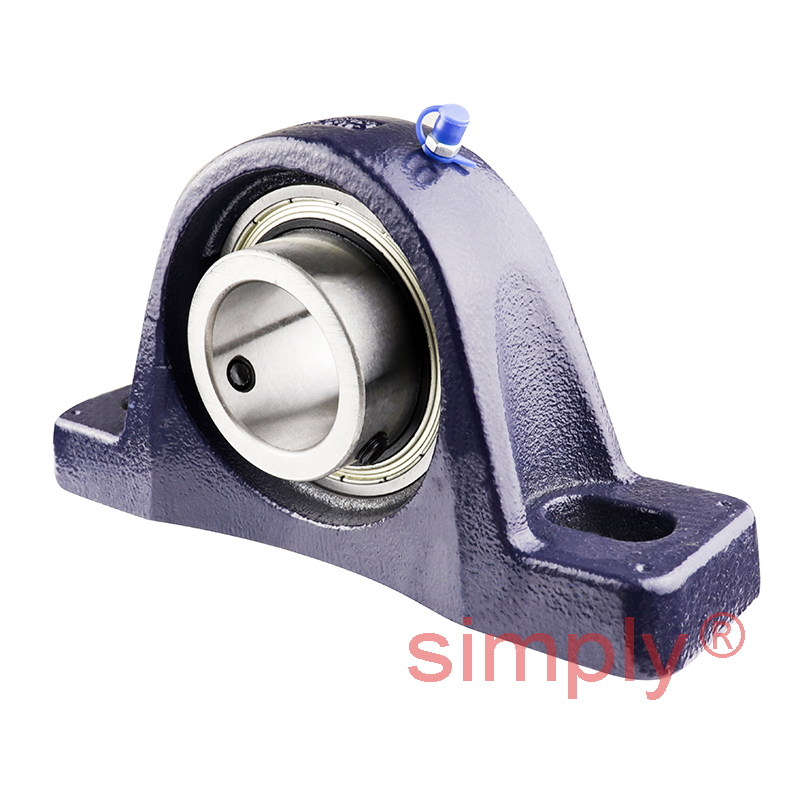 RHP MP45 Two Bolt Cast Iron Pillow Block and 45mm Bore Grub Screw ...