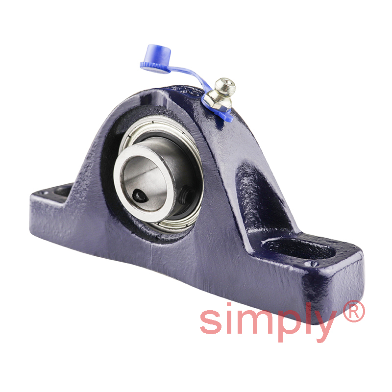 RHP NP15 Two Bolt Cast Iron Pillow Block and 15mm Bore Grub Screw Full ...