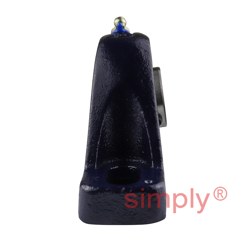 RHP NP15 Two Bolt Cast Iron Pillow Block and 15mm Bore Grub Screw Full ...