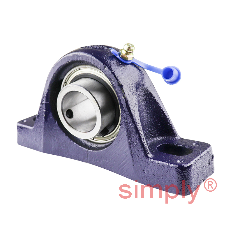 RHP NP25 Two Bolt Cast Iron Pillow Block and 25mm Bore Grub Screw Full ...