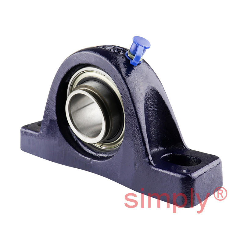 RHP NP25DEC Two Bolt Cast Iron Pillow Block and 25mm Bore Eccentric ...