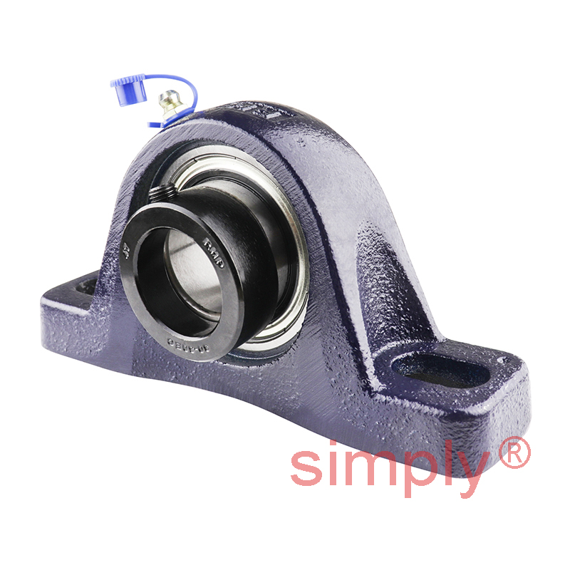 RHP NP30DEC Two Bolt Cast Iron Pillow Block and 30mm Bore Eccentric ...