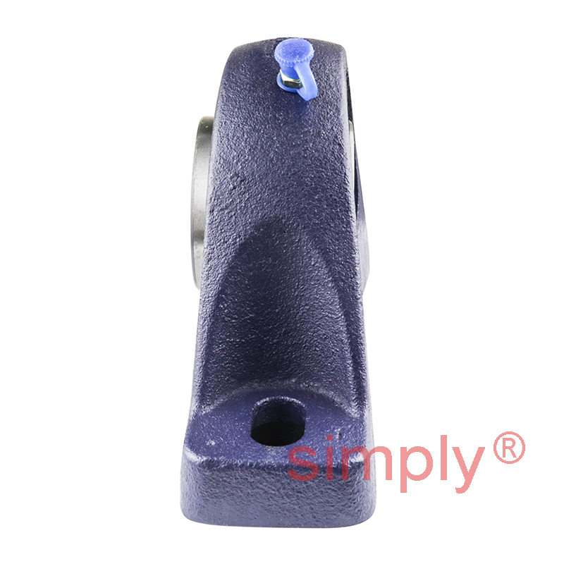 RHP NP45 Two Bolt Cast Iron Pillow Block and 45mm Bore Grub Screw Full ...