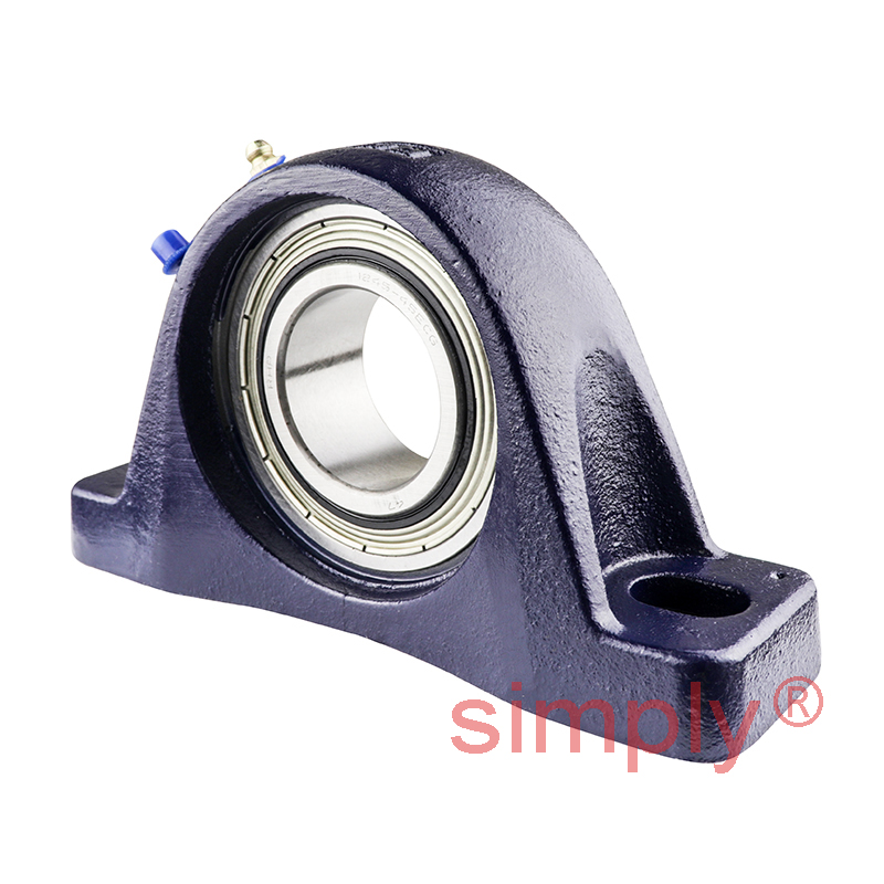 RHP NP45EC Two Bolt Cast Iron Pillow Block and 45mm Bore Eccentric ...