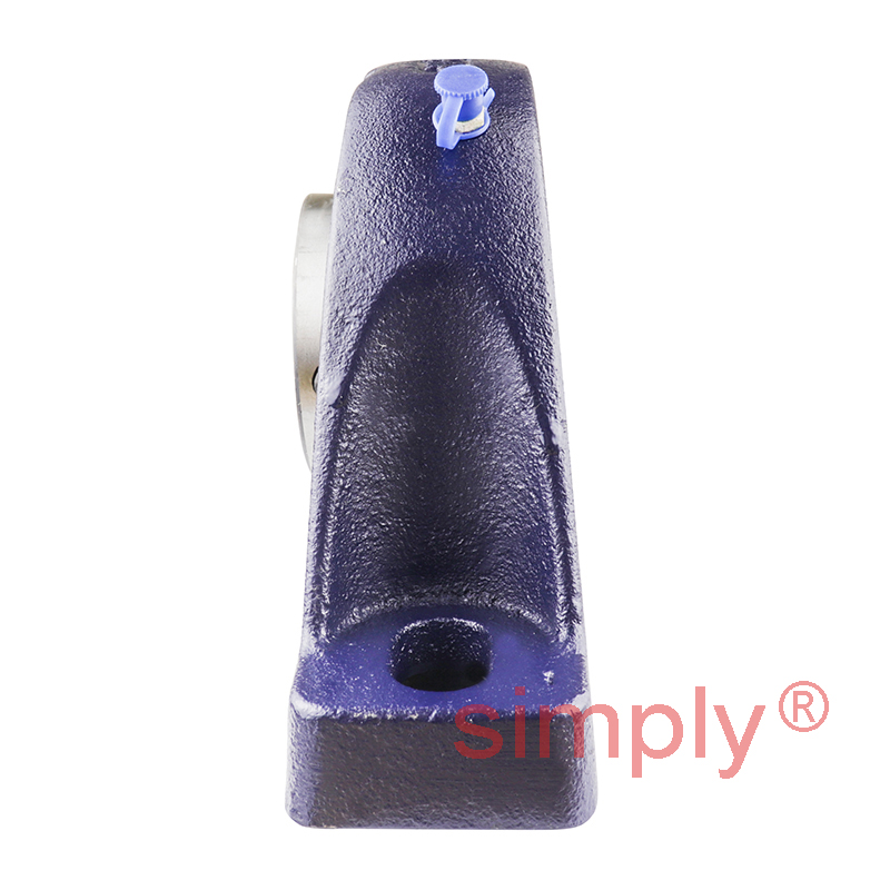 RHP NP55 Two Bolt Cast Iron Pillow Block and 55mm Bore Grub Screw Full ...