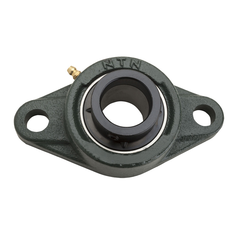 NTN UELFL214D1 Metric Two Bolt Cast Iron Oval Housing with 70mm Bore ...