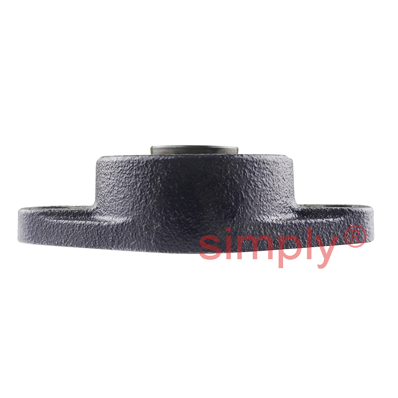 RHP SFT25EC Two Bolt Oval Cast Iron Flange Housing 25mm Bore Insert ...