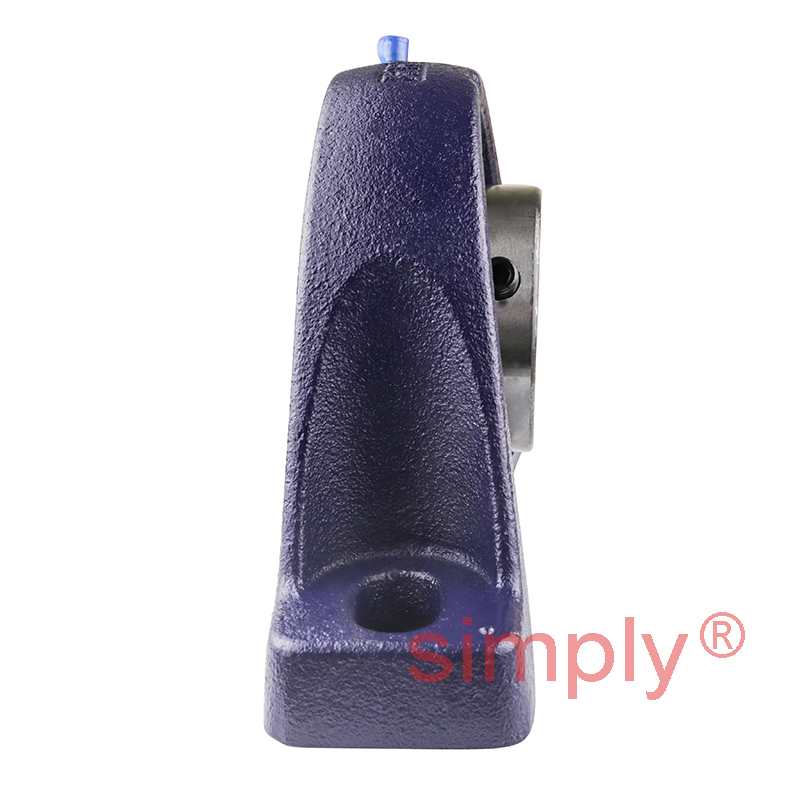 RHP SL55 Two Bolt Cast Iron Pillow Block and 55mm Bore Grub Screw Full ...