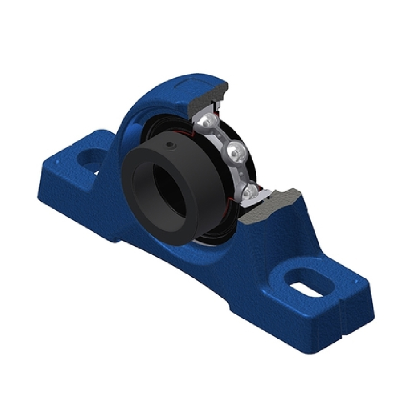 SNR ESPE208T20 Metric Cast Iron Two Bolt Pillow / Plummer Block Housing ...