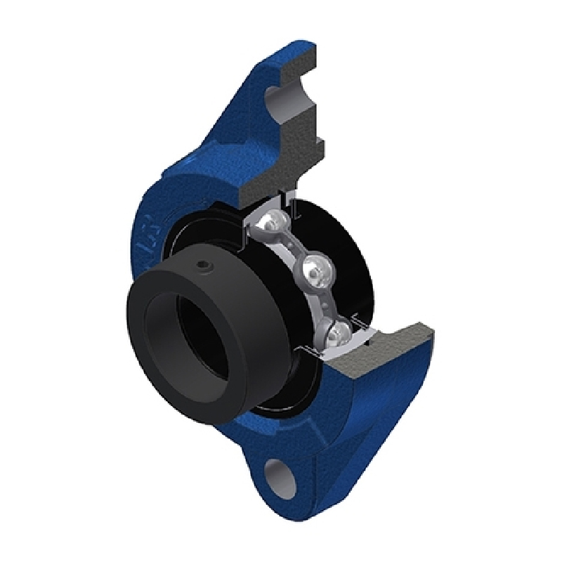 SNR EXFLZ210T20 Metric Two Bolt Cast Iron Oval Housing with 50mm Bore ...